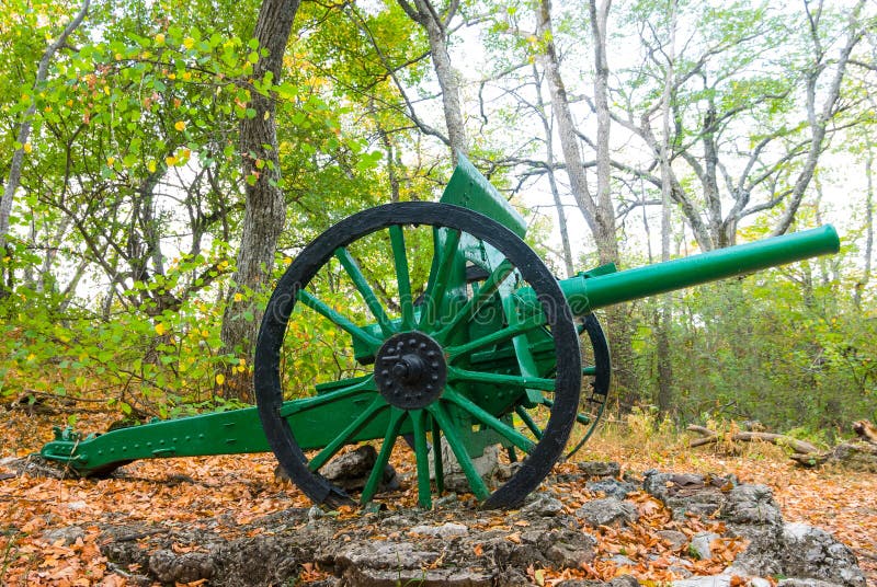 Old cannon in forest stock image. Image of grass, tree - 253157257