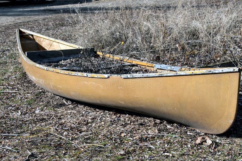 Old canoe on the shore stock photo. Image of boating - 356977878