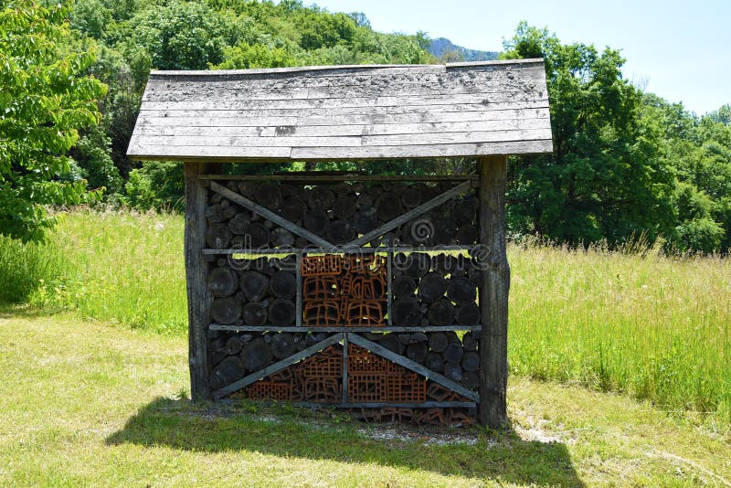 Old Canopy with Stored Fire Wood Stock Photo - Image of landmark ...