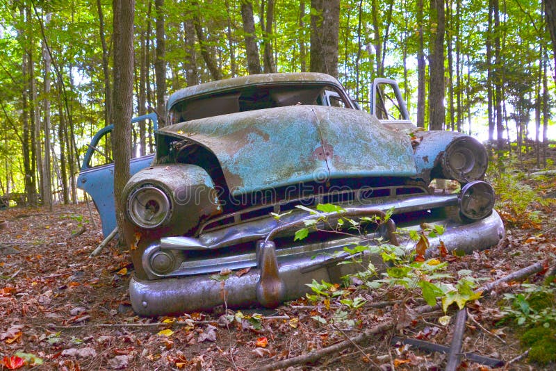 Old Car in the Forest stock image. Image of vintage, metal - 51582079
