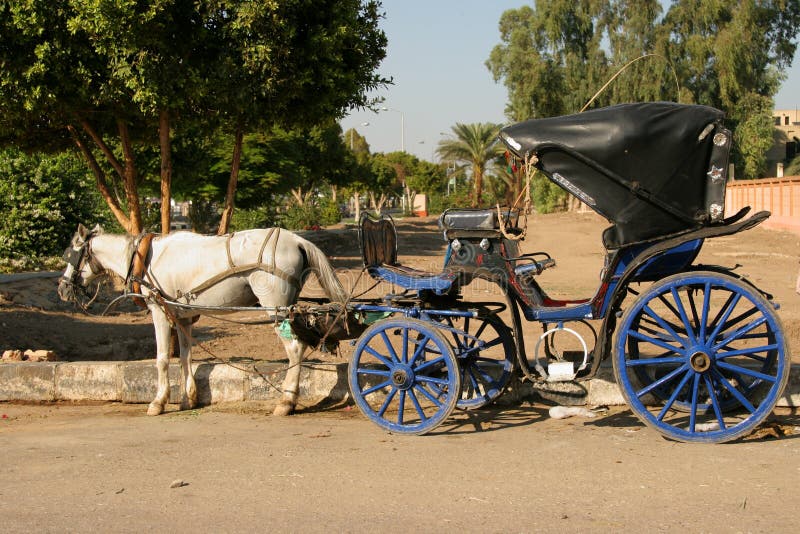 Old carriage stock photo. Image of cart, harness, tourist - 13148928