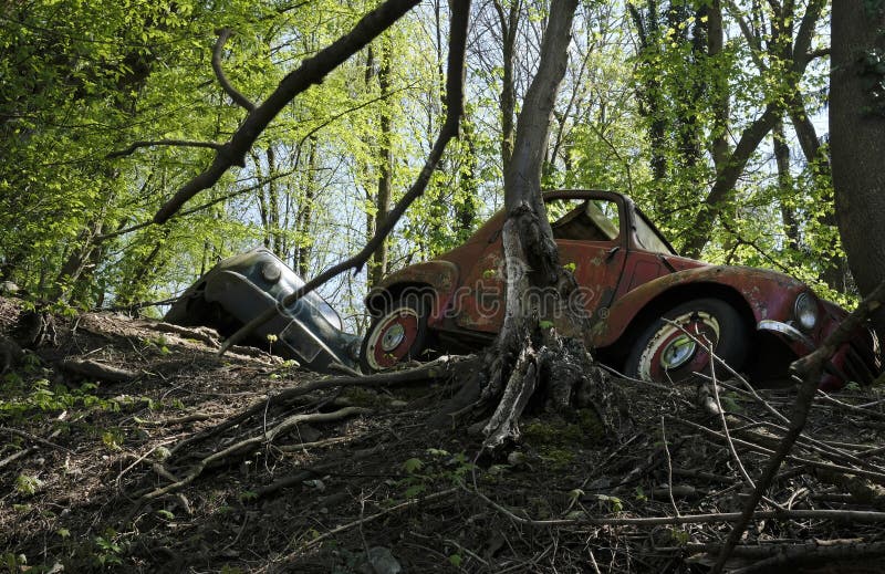 Old Cars Discarded in a Forest Stock Photo - Image of cars, tree: 278891420