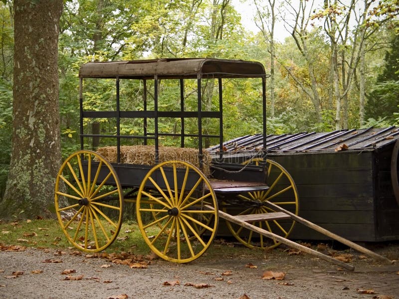Old Cart stock photo. Image of trees, antique, forest, historic - 492208