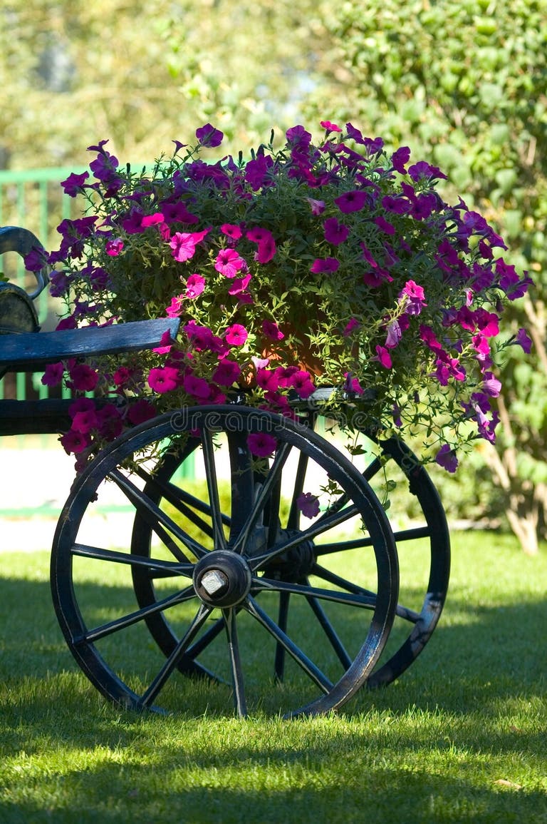 299 Flower Carts Stock Photos - Free & Royalty-Free Stock Photos from ...