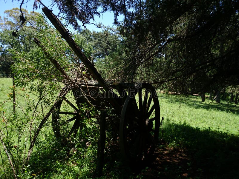 Old cart stock photo. Image of plants, wood, rotting - 48563868