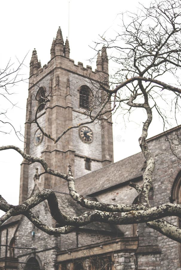 Old Castle in Front of the Branch of the Tree Under the Clouded Sky ...
