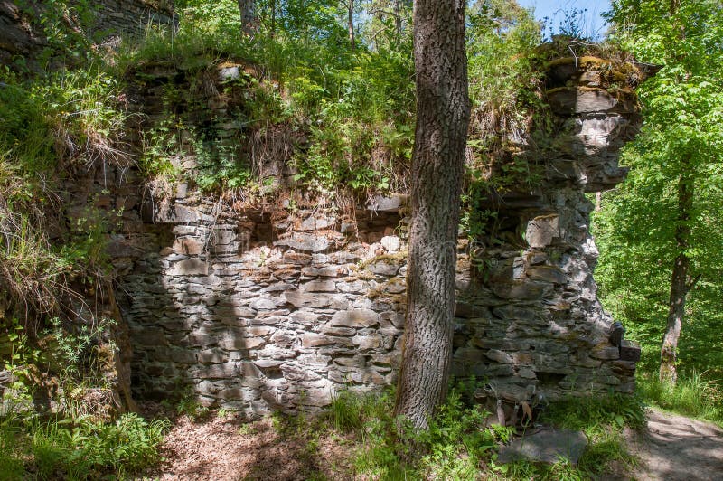 Old Castle Ruin in Lost in Forest Stock Photo - Image of latvia, nature ...