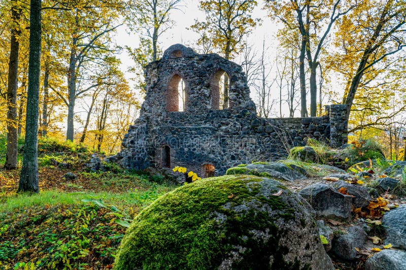 Krimulda Medieval Castle Ruins in the Forest Stock Photo - Image of ...