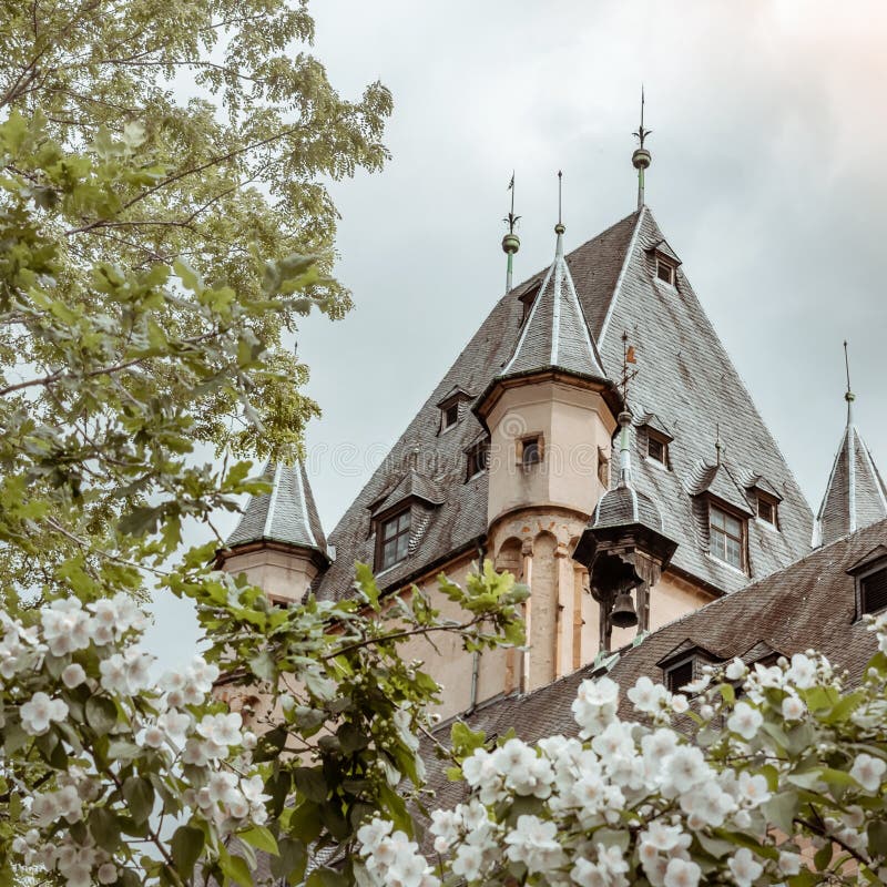Old Castle in spring stock photo. Image of garden, history - 184327488