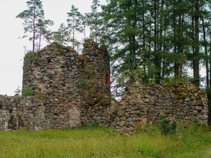 Old Castle Tower Ruins, Tree Branches and Grass in the Foreground Stock ...