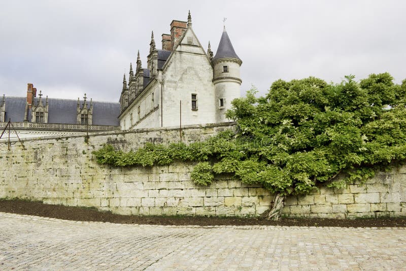 Old castle and tree stock photo. Image of history, scenics - 27949070