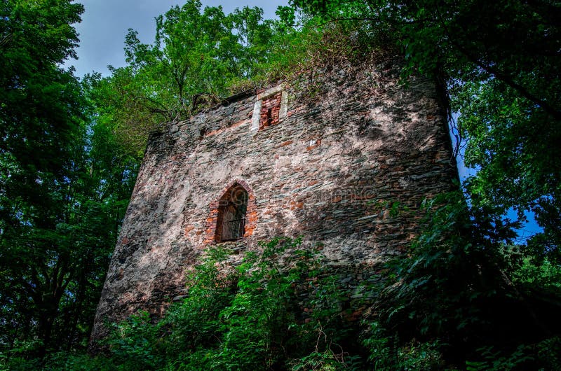 Old castle wall stock image. Image of light, tree, trees - 98325335