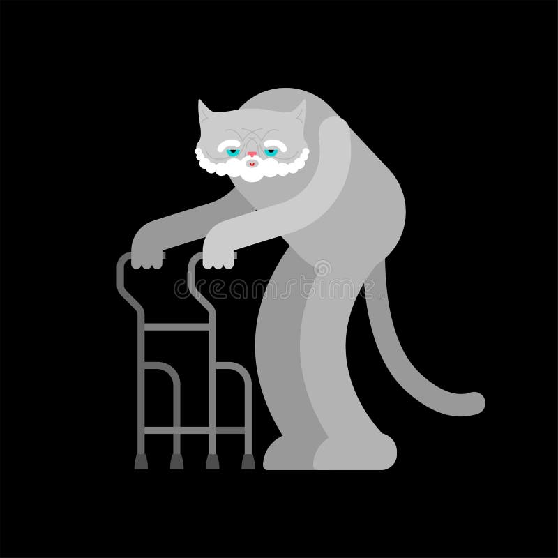 Old Cat Isolated. Grandpa Cat Stock Vector - Illustration of beautiful ...