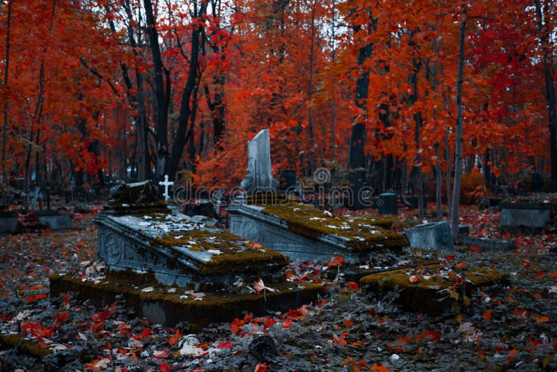 The Old Catholic Cemetery in the Fall. Abandoned Graves Stock Image ...