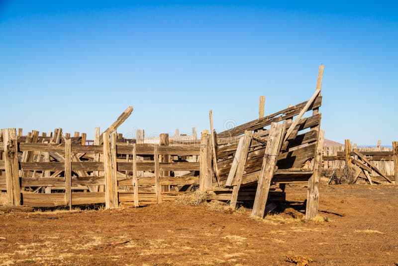 Cattle Corral stock photo. Image of animals, ranch, herd - 19206112