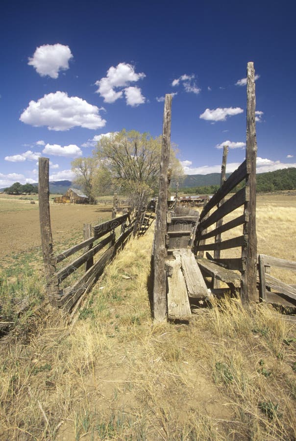 Old Cattle Loading Gate, MN Editorial Image - Image of load ...