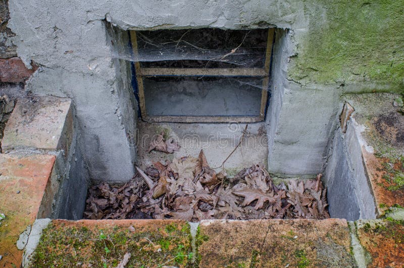Old Cellar Window with Foliage Stock Image - Image of decay, stone ...