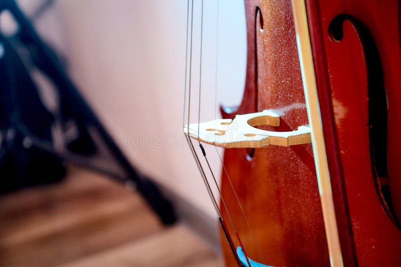 Cello close up stock photo. Image of musician, classical - 85169078