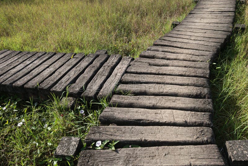 Old Cement Path Way Walk Way on Lawn with Grass, Y Shape Stock Photo ...