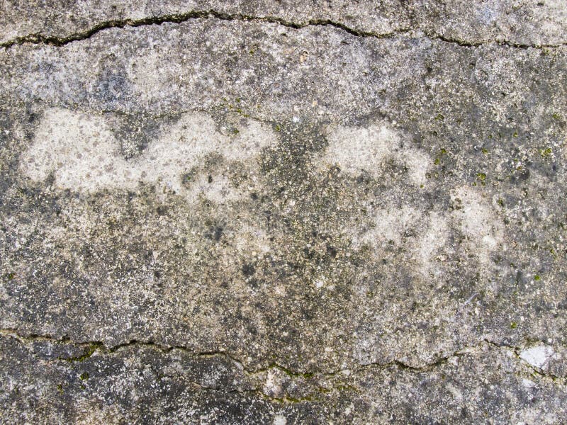 Old cement wall stock image. Image of abandoned, plaster - 70013805