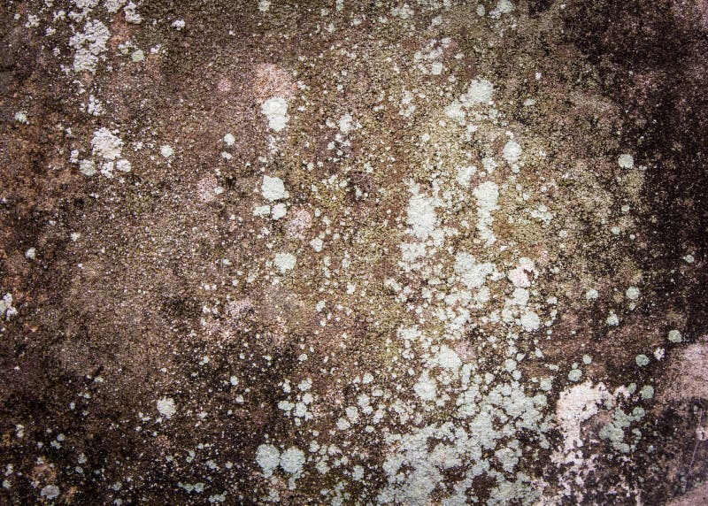 Old Cement Wall Texture and Background Stock Image - Image of ...