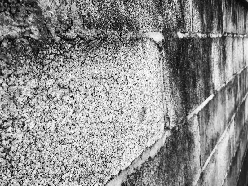 Old cement wall stock photo. Image of obsolete, revival - 99793888