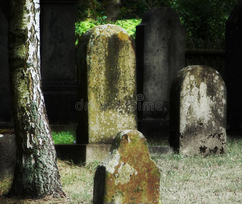 Open new grave stock photo. Image of loss, graves, empty - 14397814