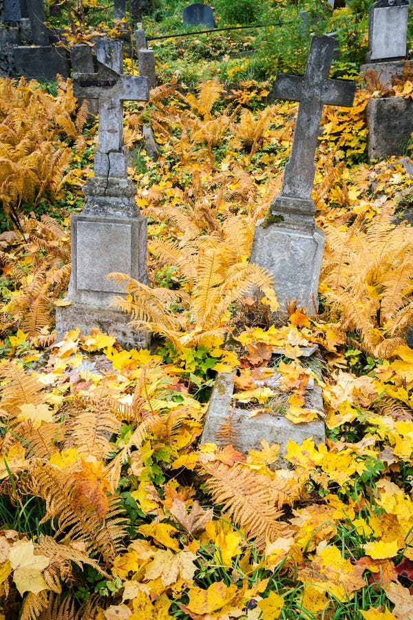 Autumn cemetery stock photo. Image of fall, buried, colors - 15958486