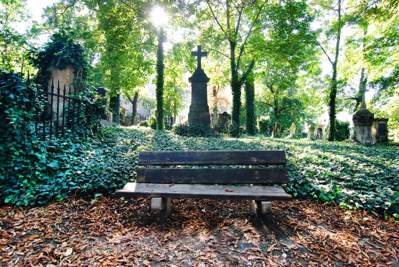 Old cemetery stock photo. Image of trees, prague, relax - 41720810