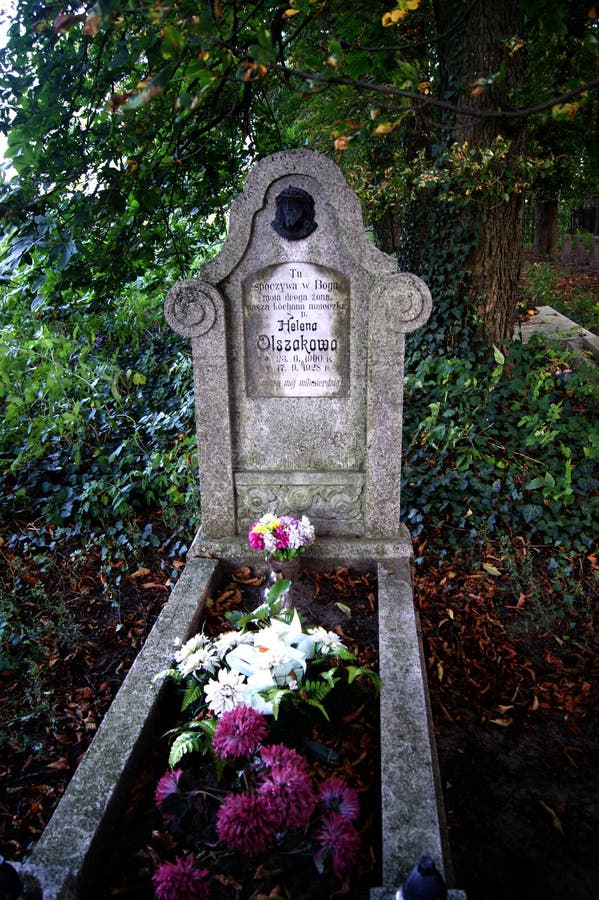 The old cemetery editorial stock photo. Image of cemetery - 91856368