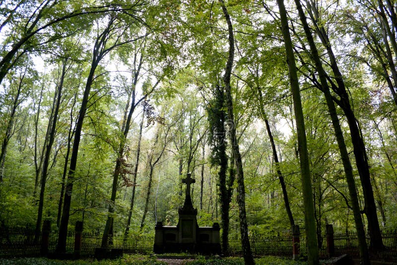 Old cemetery in a forest stock image. Image of graves - 14161393