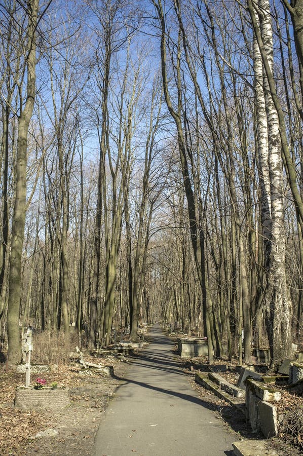 Cemetery Road in Autumn stock photo. Image of rural, autumn - 34199110