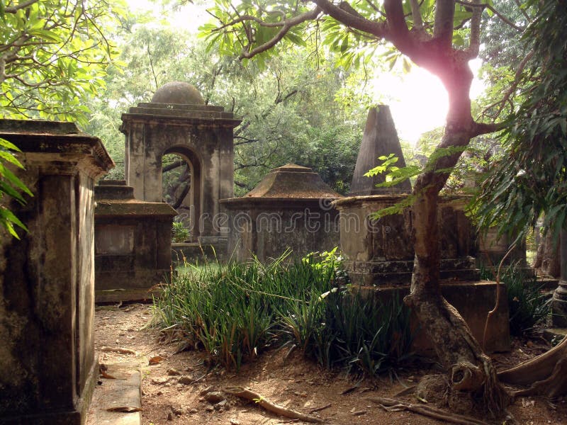 Old cemetery with trees stock photo. Image of beautiful - 25853776