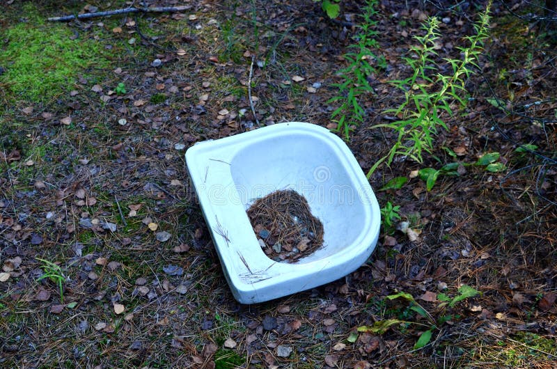 An Old Ceramic Washbasin Thrown Out in the Forest. Environmental ...