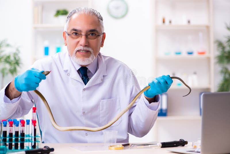 156 Venomous Snake Doctor Stock Photos - Free & Royalty-Free Stock ...