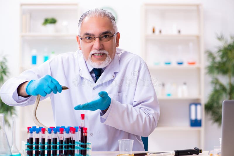 Old Chemist Holding Snake at the Science Laboratory Stock Photo - Image ...