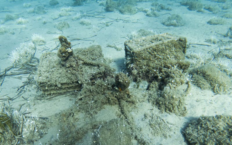 296 Chests Treasure Stock Photos - Free & Royalty-Free Stock Photos ...