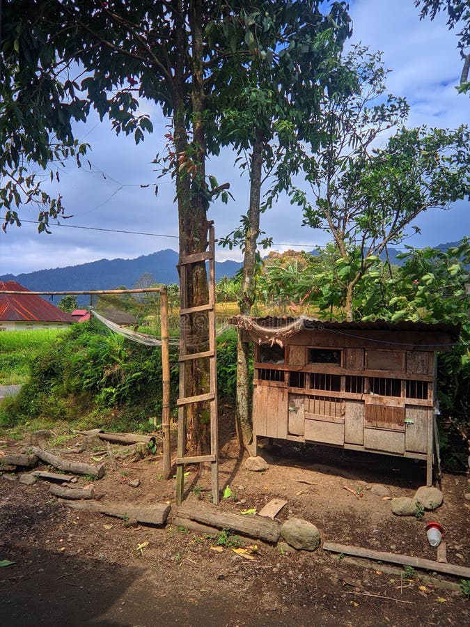 Old Fashioned Chicken Houses