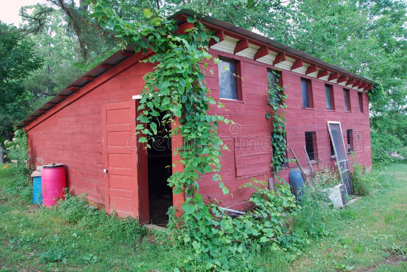 Old chicken house stock photo. Image of windows, roof - 19981654