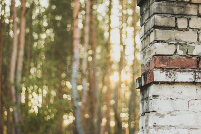 Old chimney in the forest stock image. Image of stone - 82331909