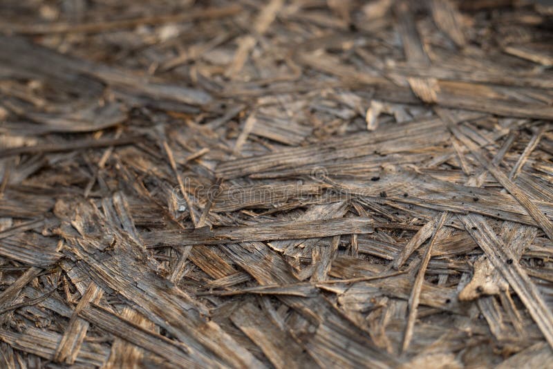 Old Chipboard Texture on Dimmed Sun Stock Image - Image of abandoned ...