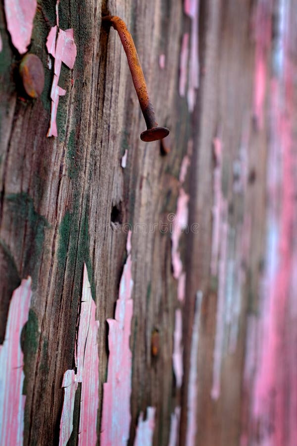 Old Chipped Paint Wall with Nail Stock Photo - Image of covering ...