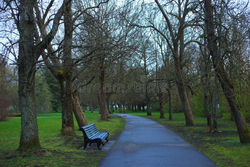 Old City Park in Overcast Weather at the Evening Stock Image - Image of ...