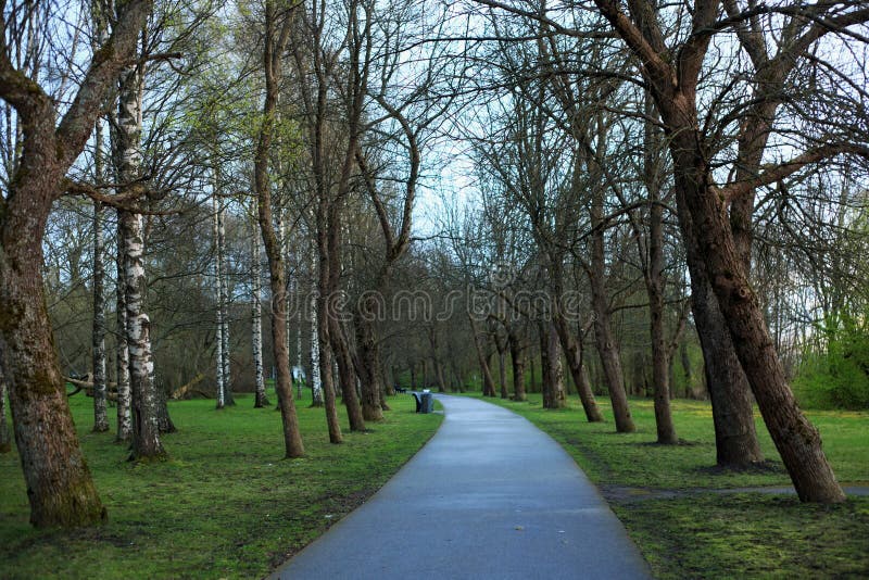 Old City Park in Overcast Weather at the Evening Stock Photo - Image of ...