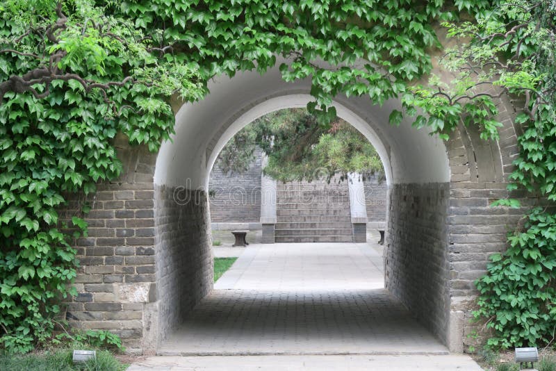 Old city wall gate stock image. Image of vine, leaf, leaves - 55015923