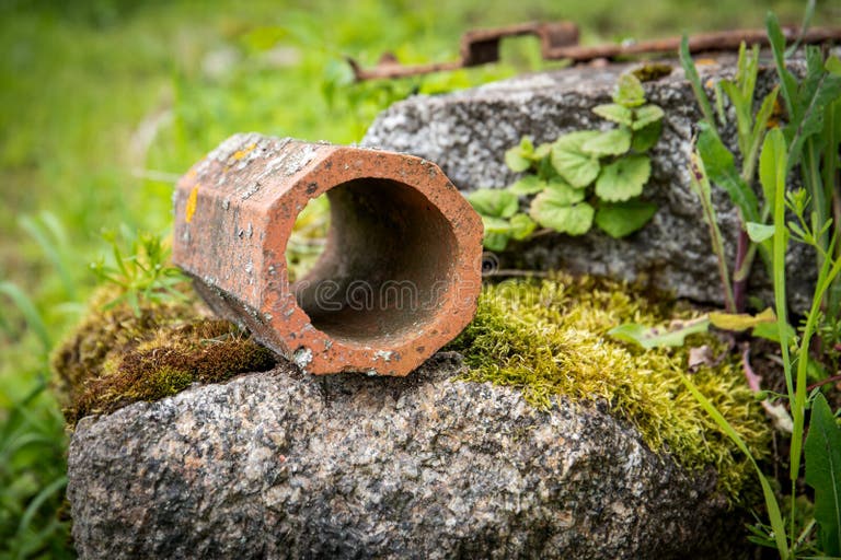 Old Clay Pipe on Moss-Covered Stone in Green Nature Setting Stock Photo ...