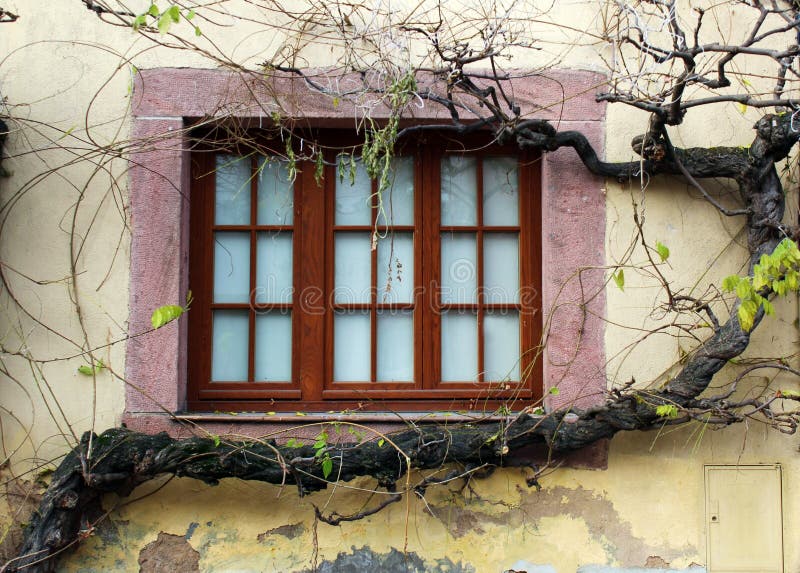 Window Surrounded by Nature Stock Image - Image of sculpture, building ...