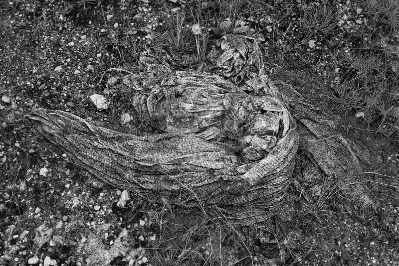 Old Cloth Lying on the Ground Stock Photo - Image of material, black ...