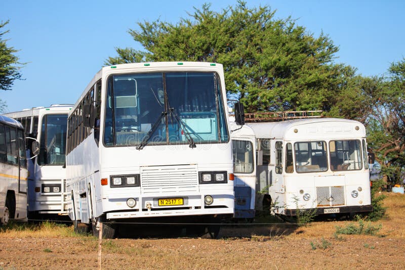 Old coach buses editorial photography. Image of auto - 206606242