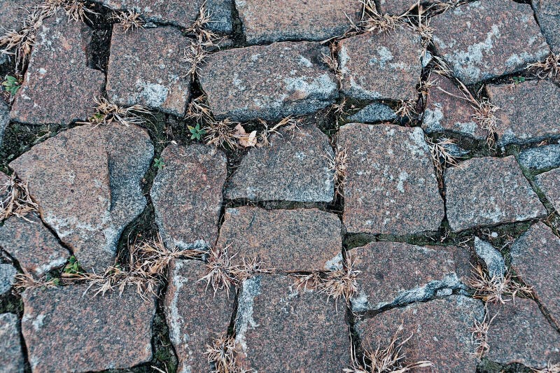 Old cobbles with grass stock image. Image of rock, bricks - 65981957